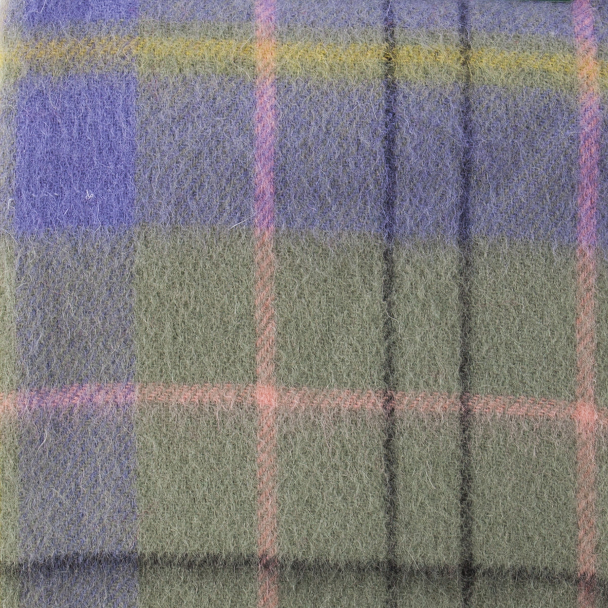 Lambswool Scottish Tartan Clan Scarf Taylor Ancient – Marchbrae